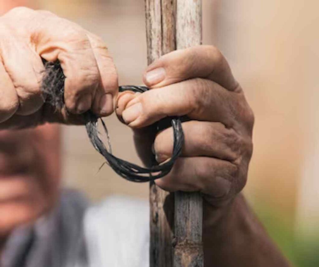 How Do You Tie a Rope to Pull a Tree