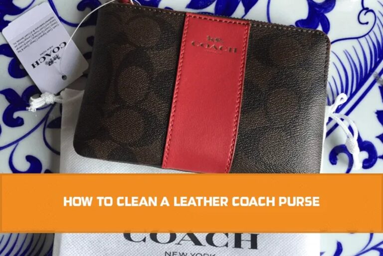 How to Clean Leather Coach Purse?- Sinopt.com